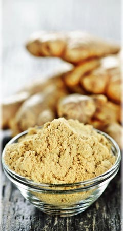 Ingwer Pulver | Ingwer