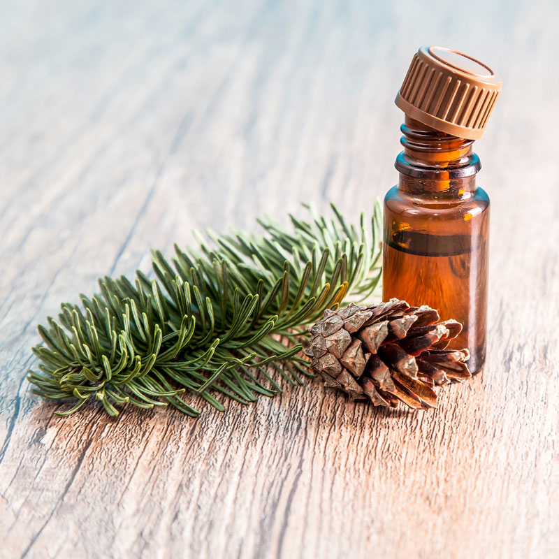 Fichtennadelöl - Ätherisches Öl mit Wirkung und Anwendung