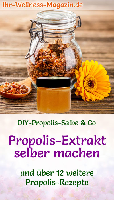 Propolis-Extrakt selber machen - Rezept und Anwendungstipps